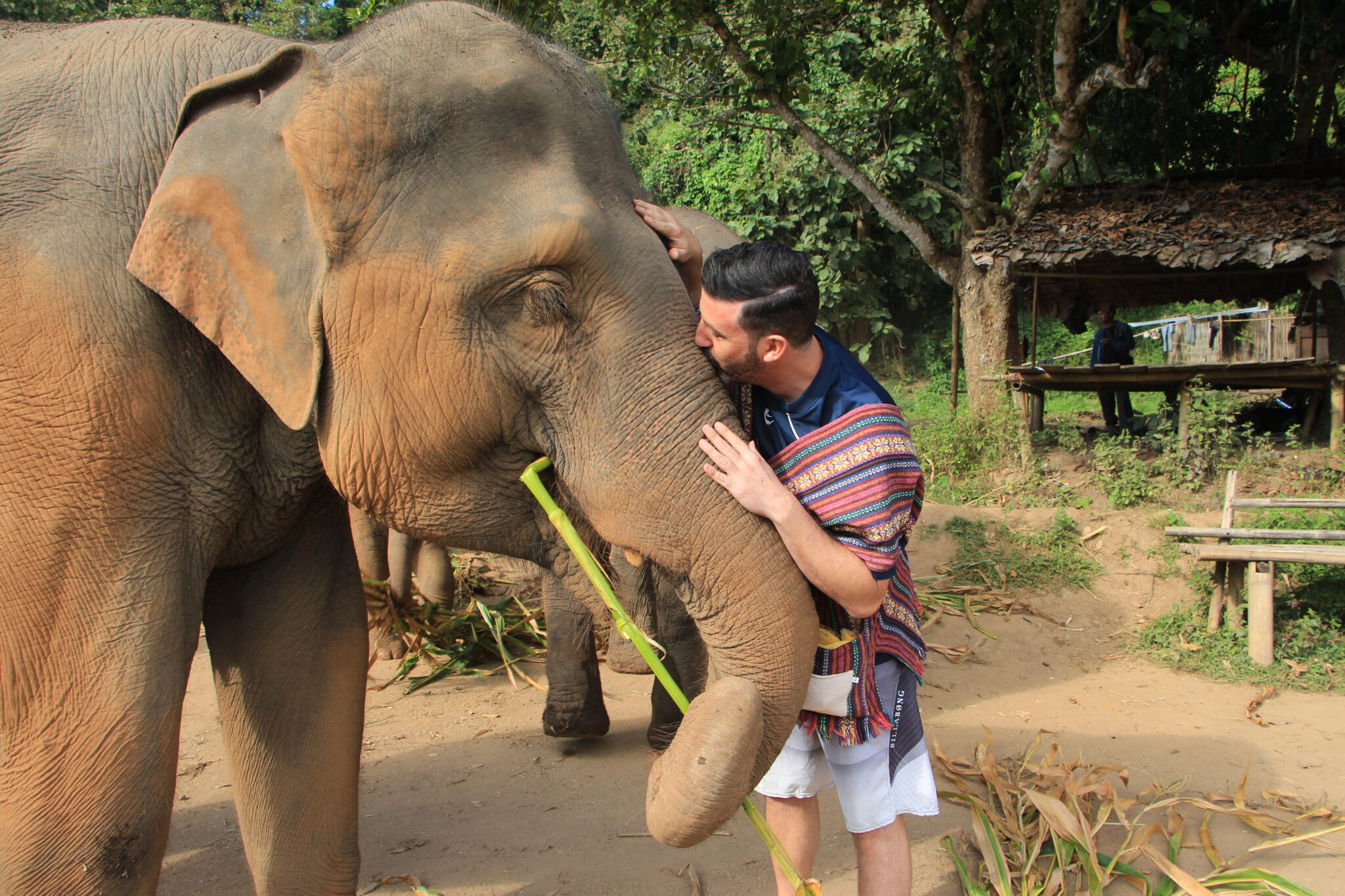 Ethical Elephant Encounters at Chiang Mai’s Jungle Sanctuary